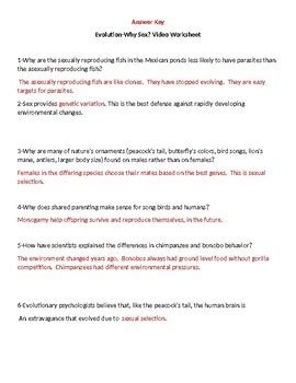 EVOLUTION WHY SEX VIDEO WORKSHEET By GKatzChronicle TPT