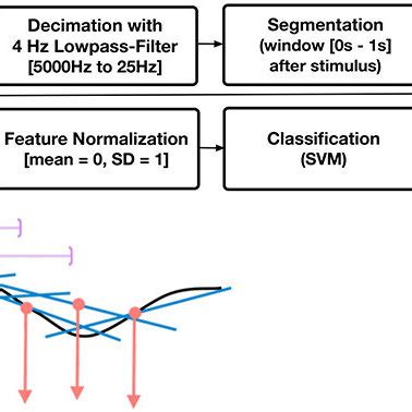Data Processing A Data Flow For Signal Processing And Single Trial Download Scientific