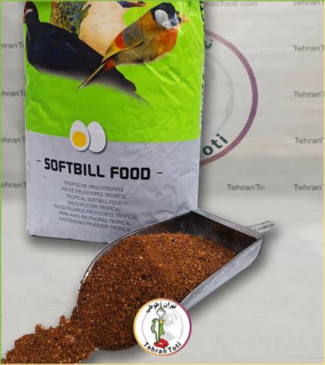 بهترین غذای مرغ مینا بنلوکس بلژیک تهران طوطی