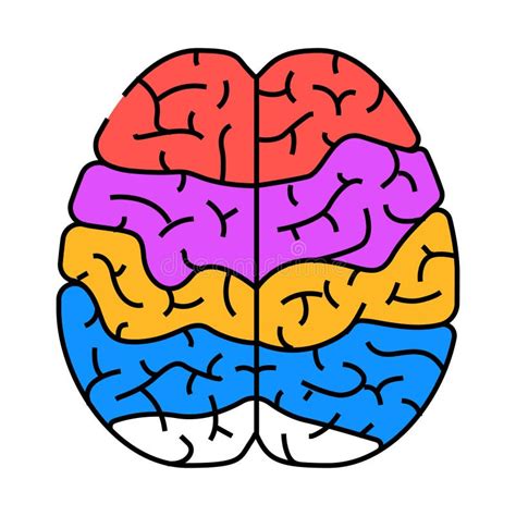 Brain Mapping Neuroscience Neurology Icon Color Illustration Stock Illustration Illustration