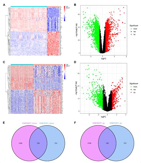 Figure 1 From Exploring The Pathogenesis Of Colorectal Carcinoma