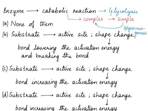 Solved When An Enzyme Is Involved In A Catabolic Reaction None Of The Options Are Correct Its