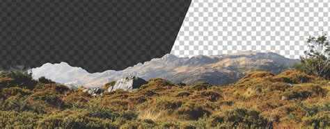 Premium Psd Barren Rocky Landscape With Patches Of Dry Grass And
