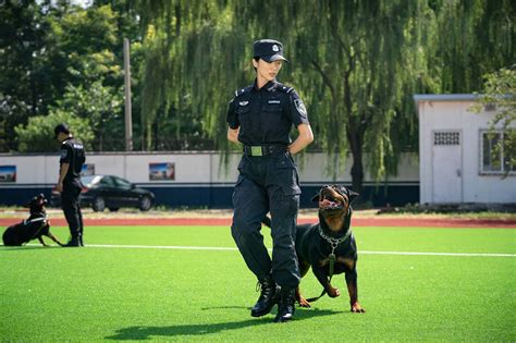 童苡萱再度挑战民警角色 《特种兵之火凤凰》 搜狐大视野 搜狐新闻