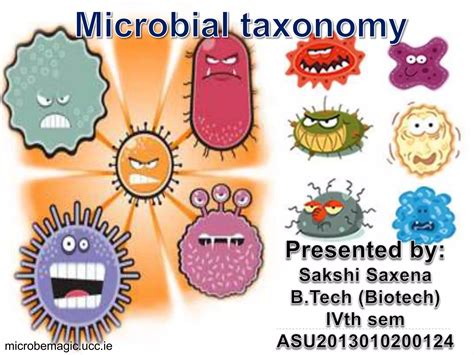 Microbial Taxonomy And Classification System Pptx