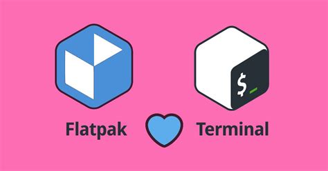 Add Visual Studio Code To Path But Code Is A Flatpak Snap Flatpak