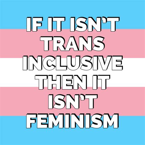 Genderqueer Positivity A Trans Pride Flag With Text That Says If It