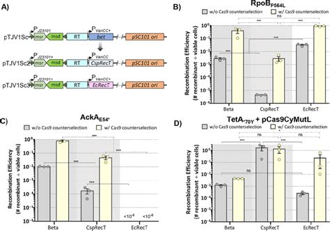 Alternative Recombinases Can Enhance Efficiency For Some Targets A
