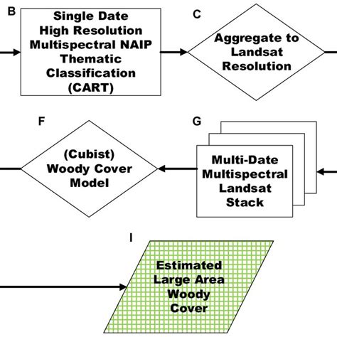 flowchart summarizing the processing steps and training of a continuous