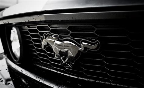 Mustang Logo Wallpapers Top Free Mustang Logo Backgrounds