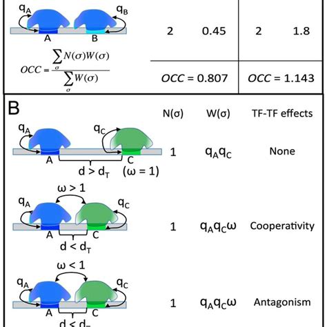 Stap Model Of Tf Dna Binding A Baseline Model Only The Chiped Download Scientific Diagram