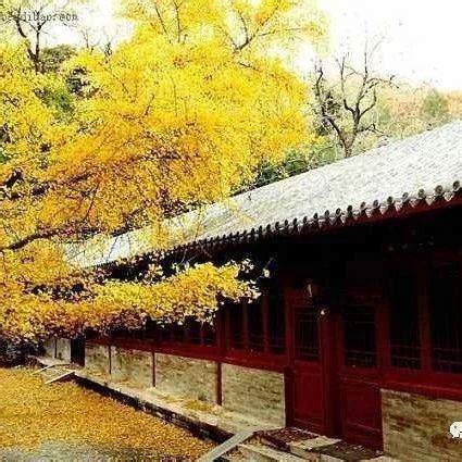 解读李白秋风词 寒鸦