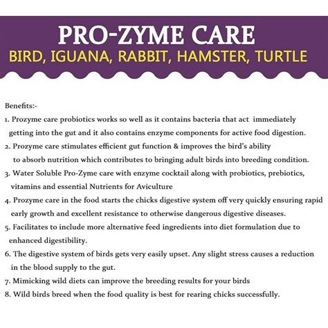 Prozyme Care 250g For Birds Rabbits And Reptiles Loyalpetzone India