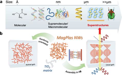 Illustration Showing A Multiscale Realms Of Structural Chirality In