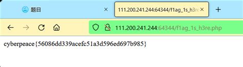 备份文件 Xctf Web Practice Robots 《⚔️ctf》 极客文档