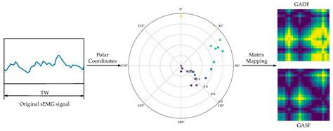 Semg Based Gesture Recognition Using Sigimg Gadf Mtf And Multi Stream Convolutional Neural Network