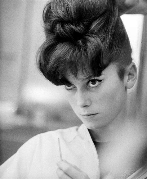Marilyn Audrey Kim Novak And More Actresses On The Brink Of Fame