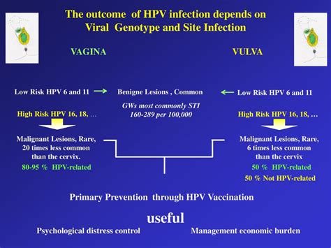 Department Of Gynaecology And Obstetrics Ppt Download