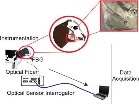 Positioning Of The Sensor And Data Acquisition Download Scientific