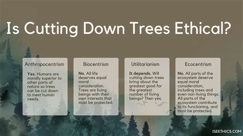 What Is An Example Of Environmental Ethics Environmental Ethics