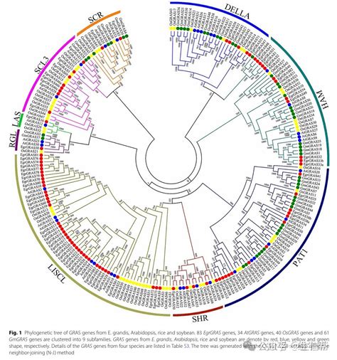 【基因家族】桉树 Gras 基因家族的全基因组鉴定和表达分析 知乎