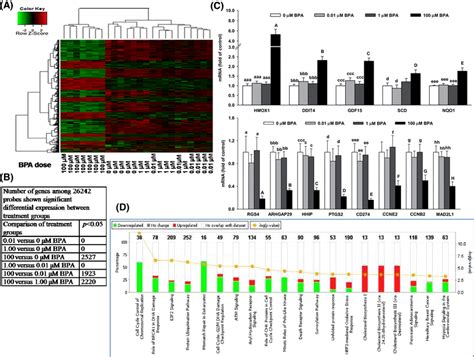 Heatmap Representing Hierarchical Clustering Of Differentially Download Scientific Diagram