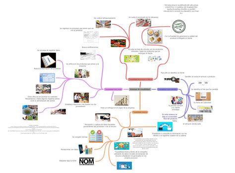 Sistemas De Trazabilidad Busca Certificaciones Se Enfoca En Los