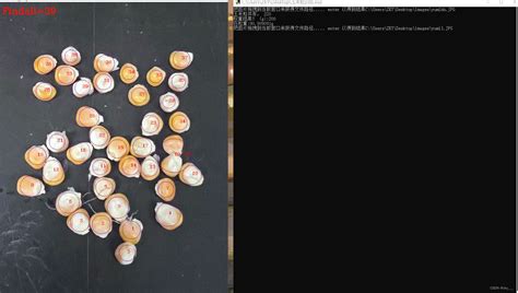 python 基于opencv实现玉米籽粒计数 c opencvsharp玉米粒计数 csdn博客