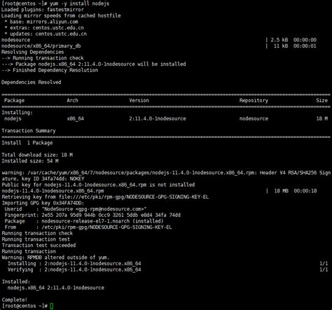 Linux系统安装最新版nodejs和npm 大隐中心