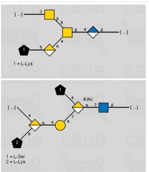 1 L−lys1 General The Monosaccharide Symbols
