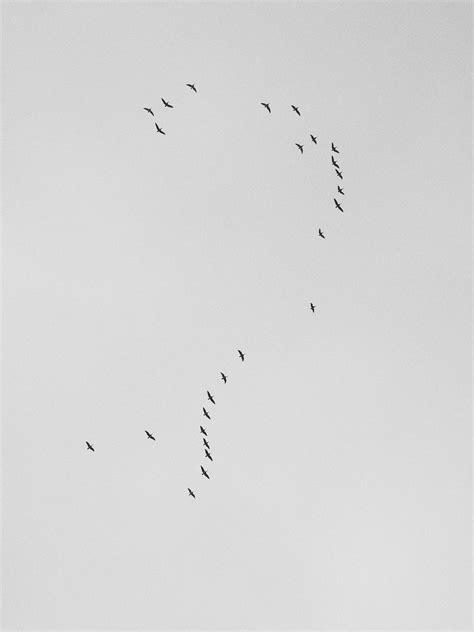 View All Routes In A Nuxtjs Application By 42 Medium