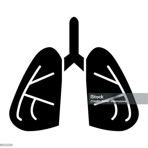 폐 단단한 아이콘입니다 인간의 가슴 해부학 및 생물학 상징의 대칭 기관 흰색 배경에 상형 문자 스타일의 픽토그램 의학 기호 모바일 개념 웹 디자인입니다 벡터 그래픽 0명에