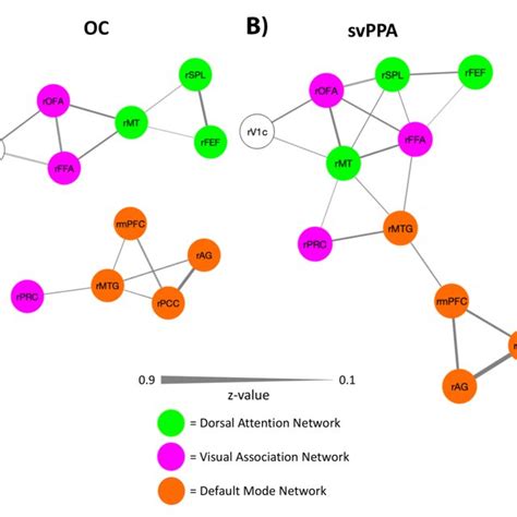 Intrinsic Connectivity Of Dorsal Attention And Visual Association Download Scientific Diagram