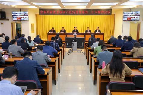 山东共青团学习宣传贯彻党的二十大精神会议召开青年工作团组织