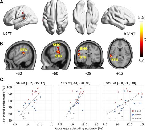 Expert Programmers Have Fine Tuned Cortical Representations Of Source