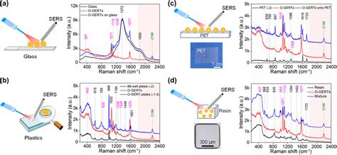Schematic Diagram Of Raman Measurements And The Anti Interference Download Scientific Diagram