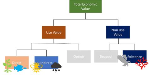 Total Economic Value Scheme Download Scientific Diagram