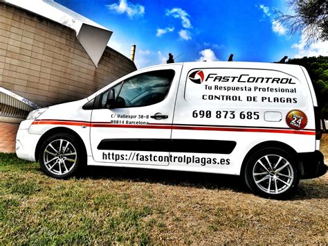 ¿cómo Encontrar Una Empresa De Control De Plagas Eficaz Fastcontrol