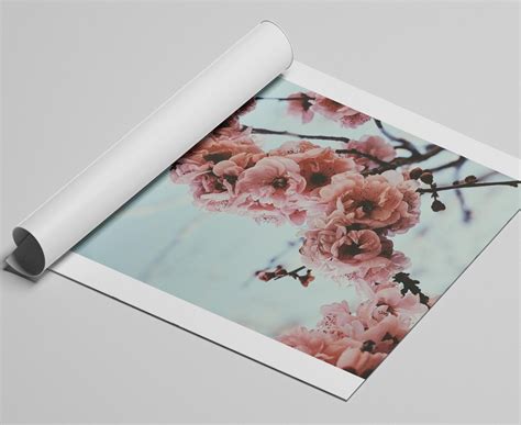 What Is A Canvas Print Without Frame
