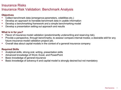Risk Dynamics Internship Pptx Business Accounting And Finance Business