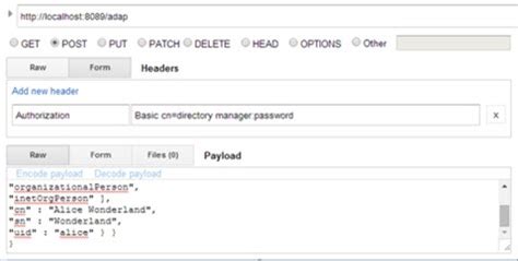 Web Services API Guide Radiant Logic Documentation