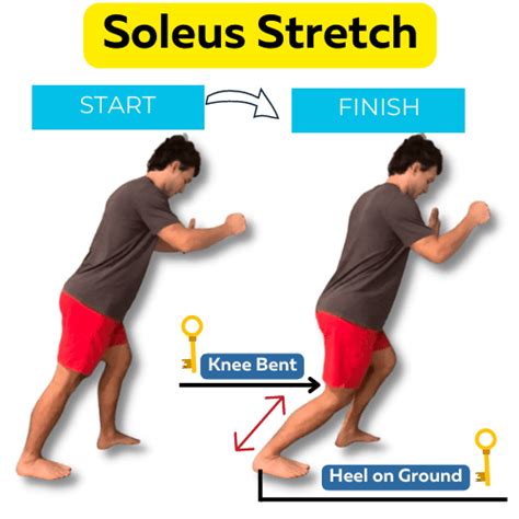 Soleus Stretch For Plantar Fasciitis Goodbye Foot Pain Artofit