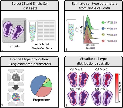 Schematic Overview Of Method Workflow Annotated Single Cell Data Download High
