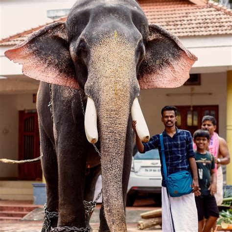 Amlnzu9si5ghzfvsnzhqqiefkd4xybedjw8gdphh2gegs900 C K C0x00ffffff No Rj