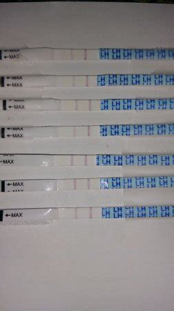 Sex Day After Positive Opk Any Chance BabyCenter