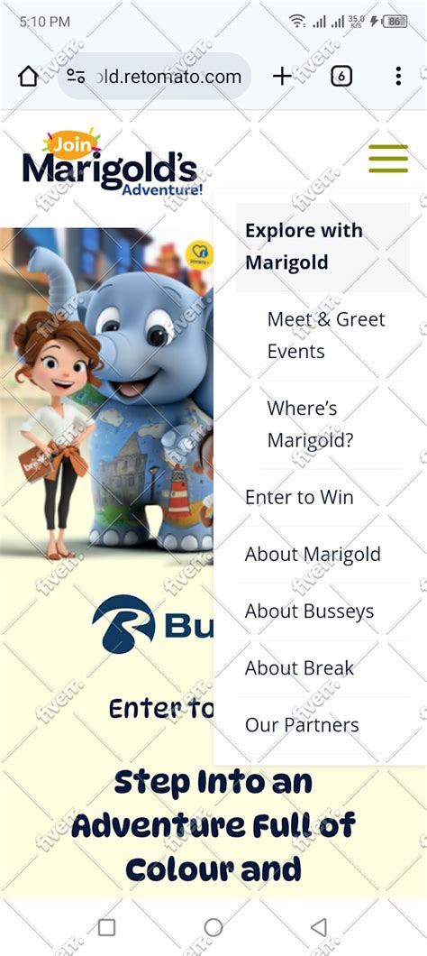 Fix Elementor Pro Bug Errors Fix Woocommerce Website Bugs Fix Divi