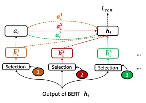 An Illustration Of The Contrastive Learning Objective I Domain Aware