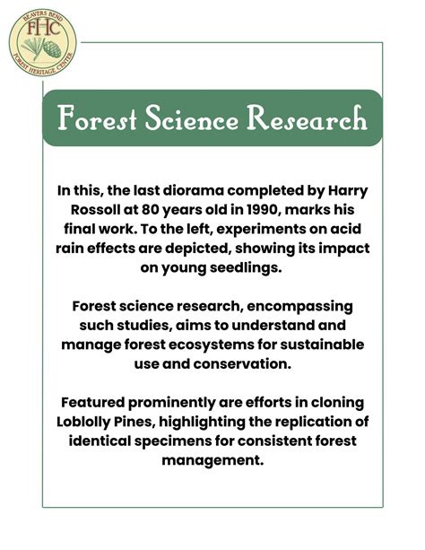Diorama Forest Science Research Forest Heritage