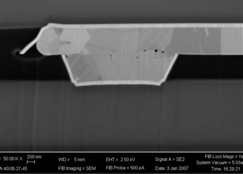 Cross Sectional FIB SEM Image Of A Sample Prepared In The Baseline Download Scientific Diagram