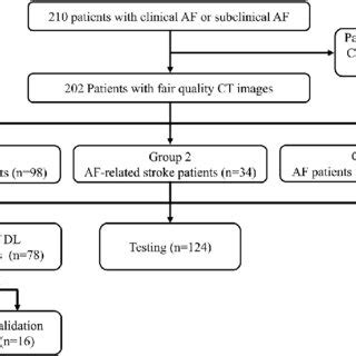 The Flowchart Of The Study Protocol AF Atrial Fibrillation CT